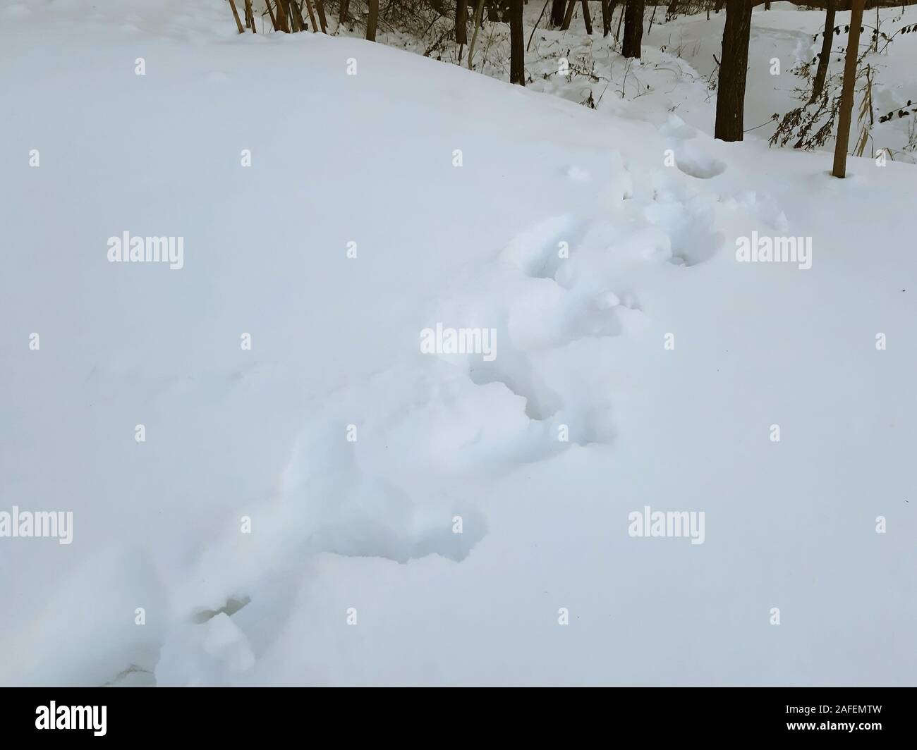 Human footprints in the snow close up Stock Photo - Alamy
