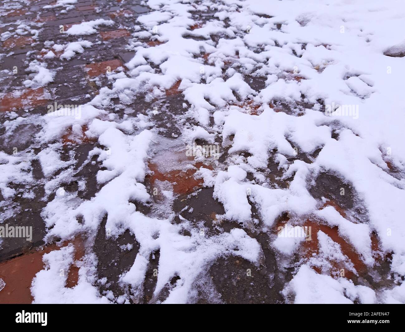 Chicken footprints in the snow in winter Stock Photo - Alamy