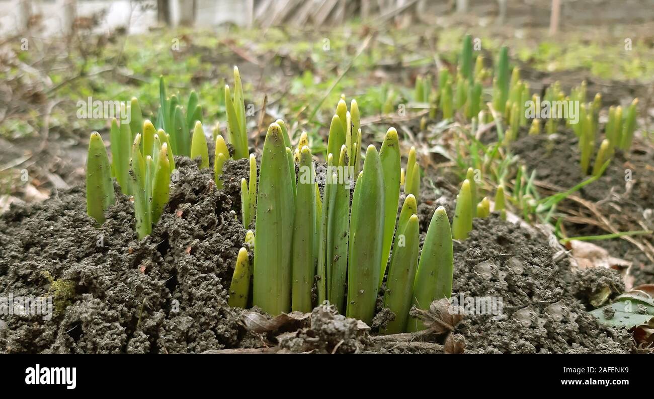 Spring began hi-res stock photography and images - Alamy