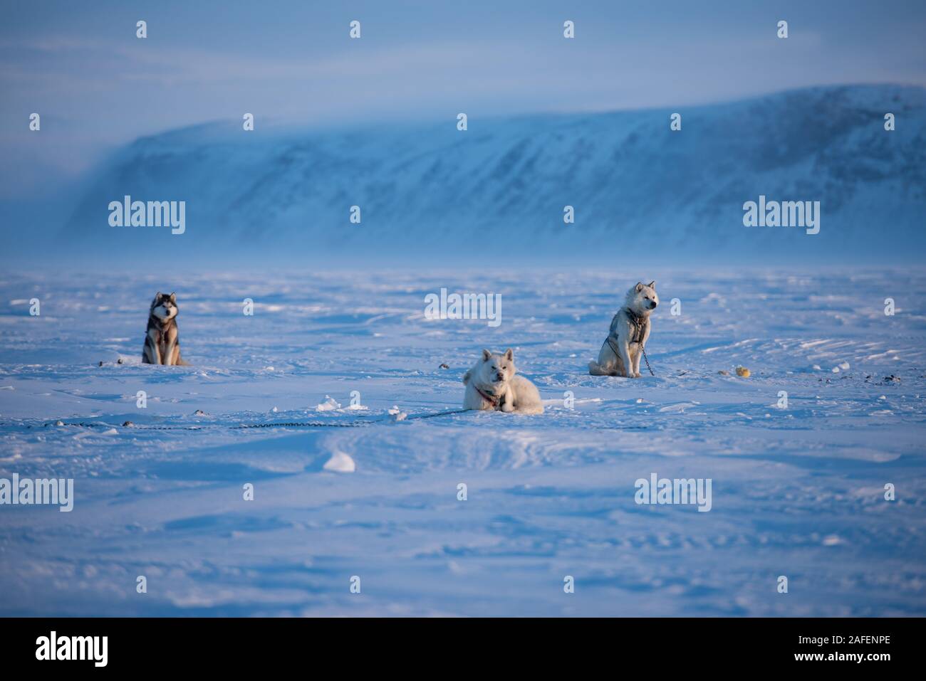 Clyde frozen hi-res stock photography and images - Alamy