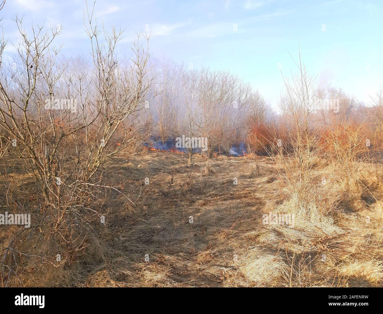 Burning dry grass hi-res stock photography and images - Alamy