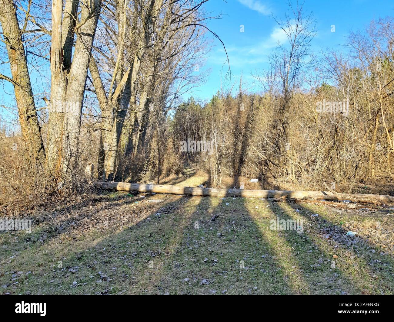 High tress hi-res stock photography and images - Alamy