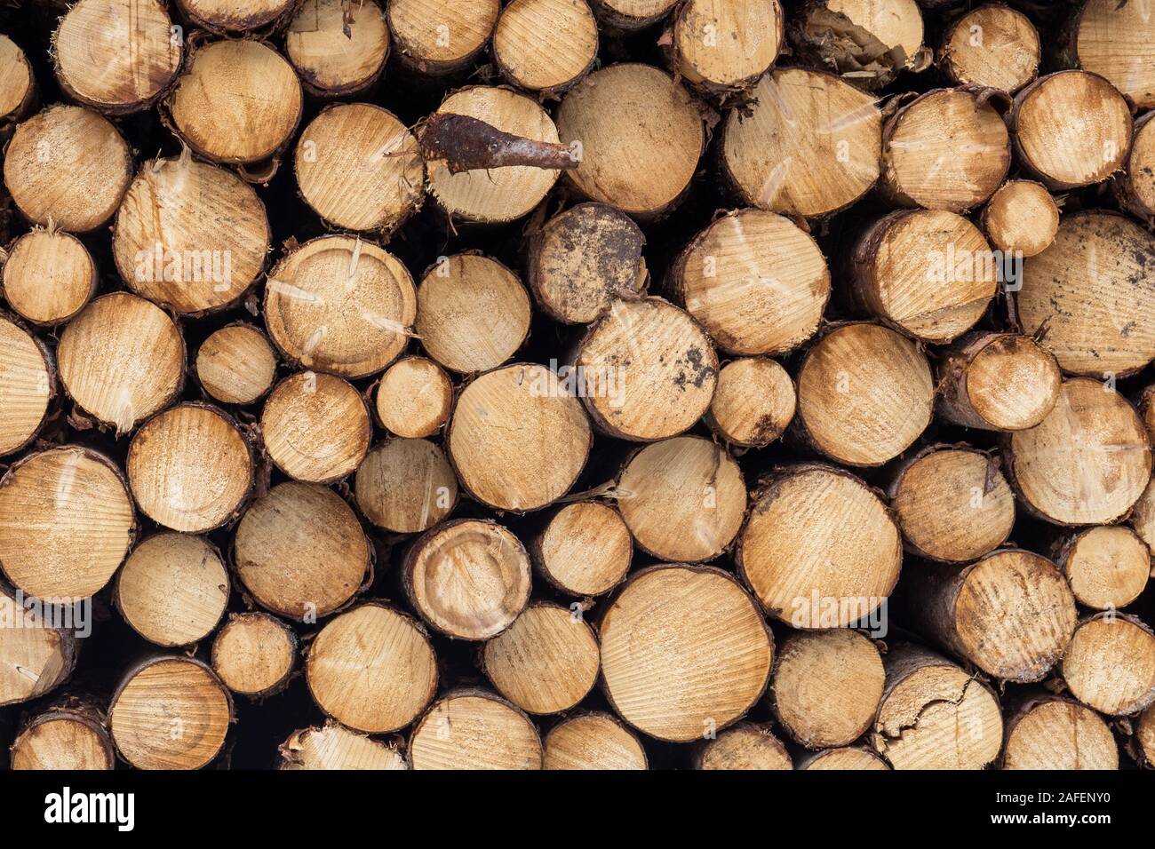 Stack of timber hi-res stock photography and images - Alamy