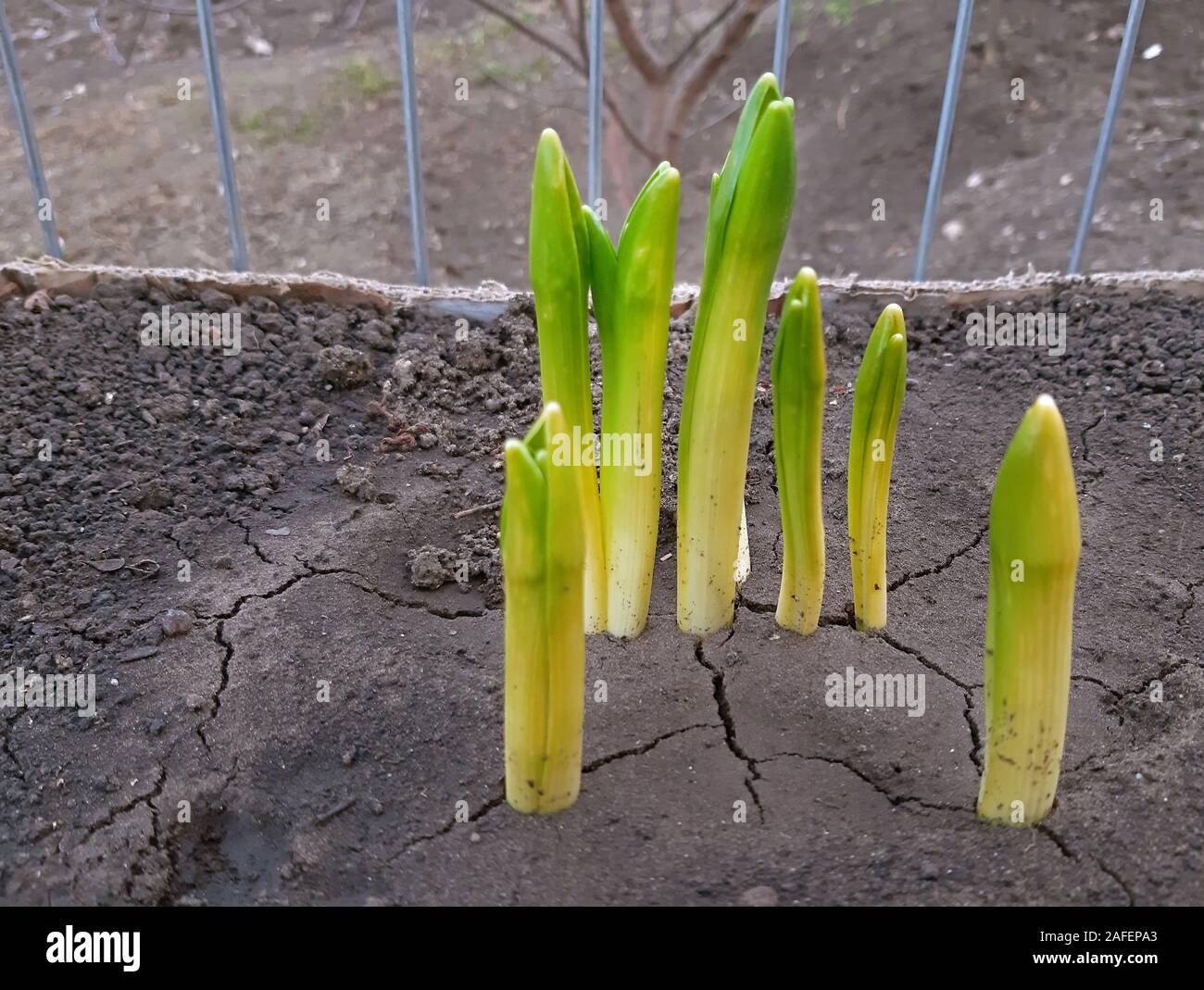 Spring began hi-res stock photography and images - Alamy
