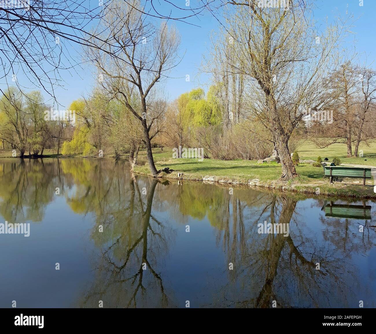 Nature landscape sky reflection summer scenic trees and rivers hi-res ...