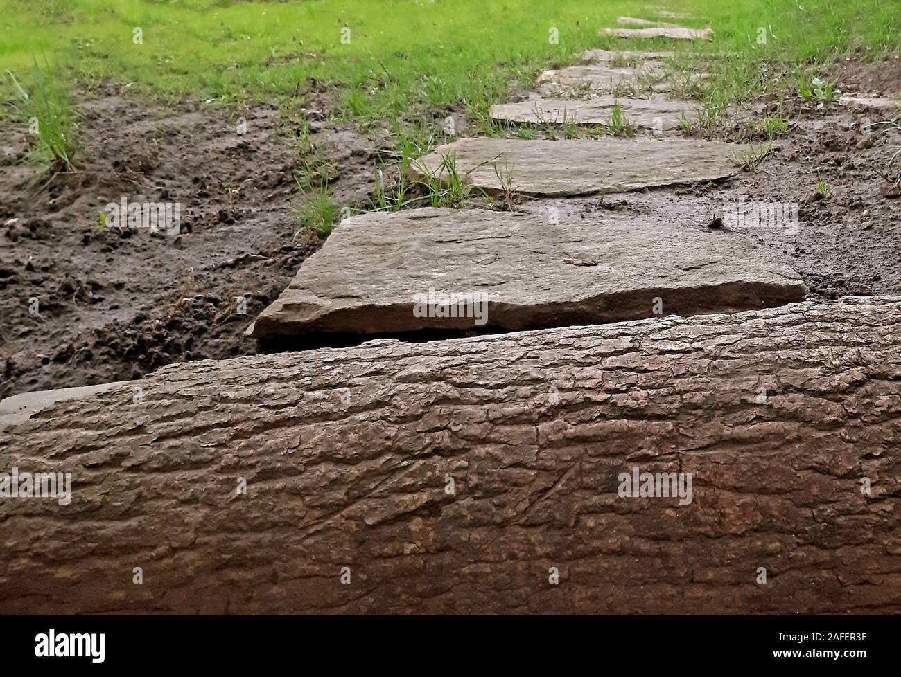 Natural stone path backyard garden hi-res stock photography and images ...