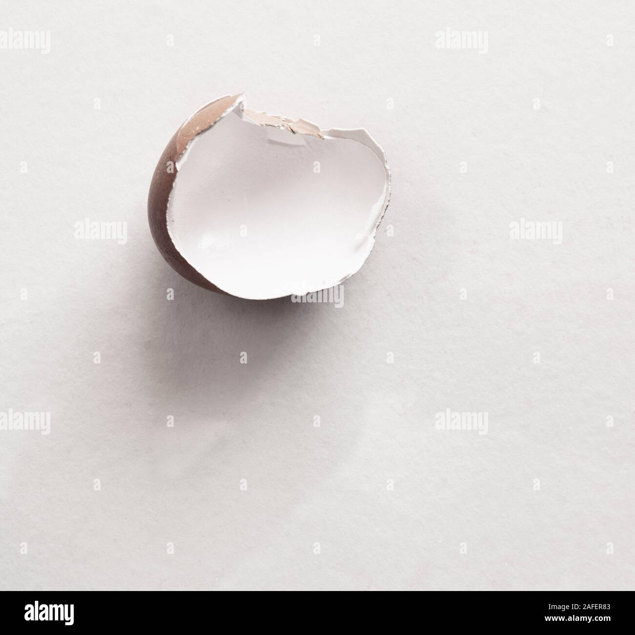 Eggshell membrane hi-res stock photography and images - Alamy
