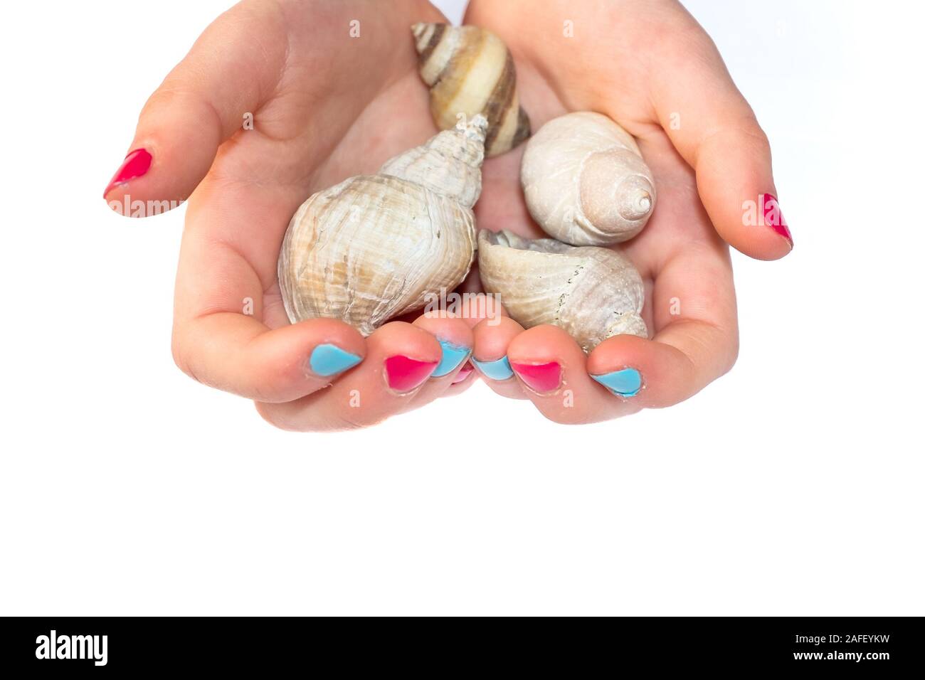 Hands holding shells beach hi-res stock photography and images - Alamy