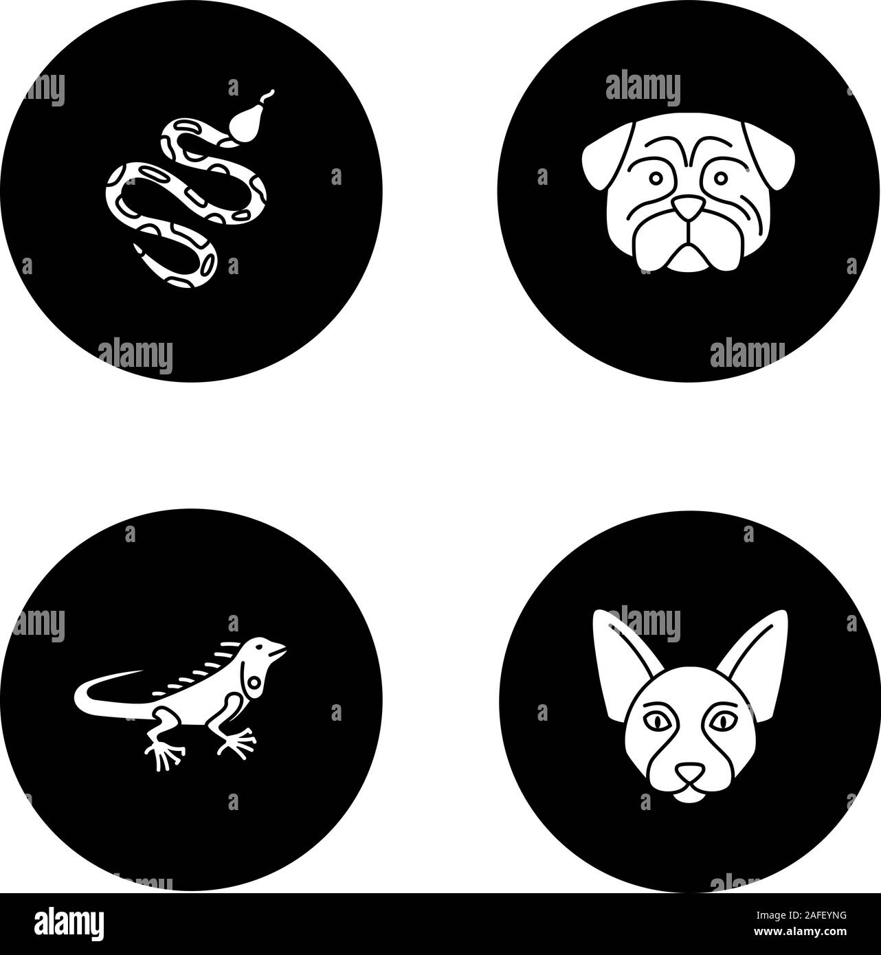 Pets glyph icons set. Python, pug, iguana, Canadian Sphynx. Vector ...
