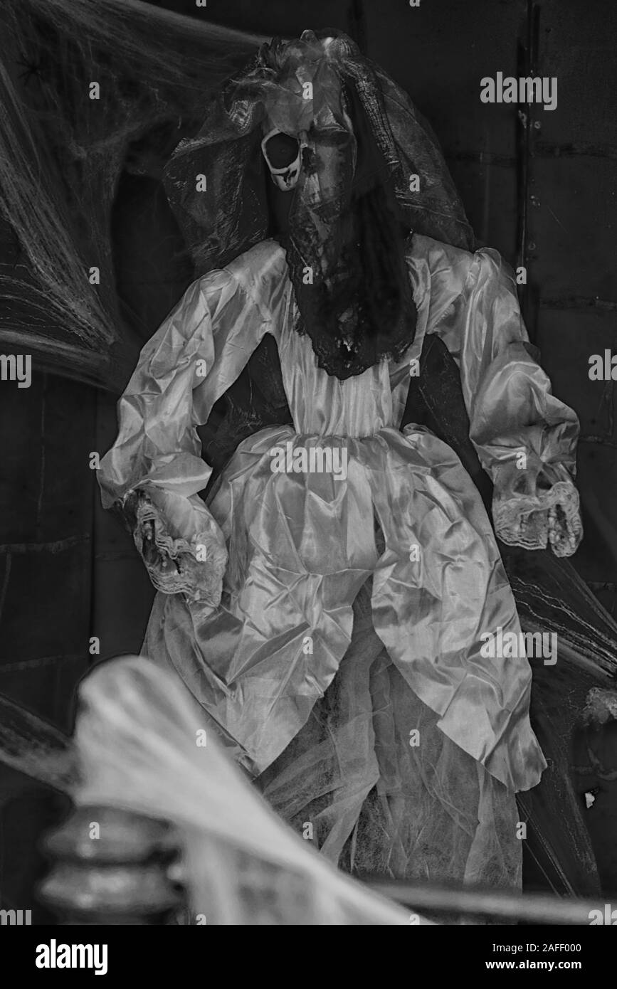 haunted skeleton bride in black and white Stock Photo - Alamy