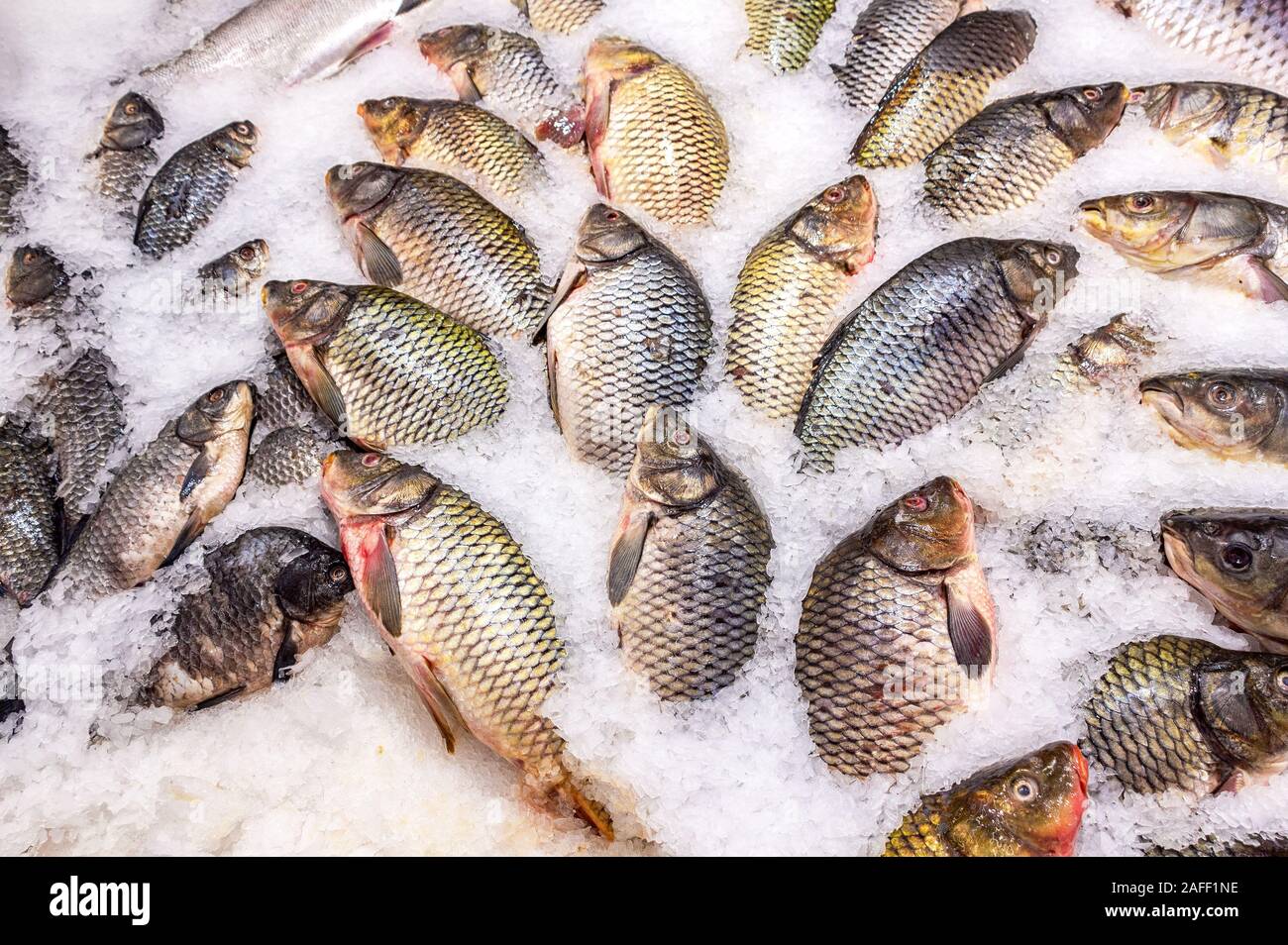 Raw fresh fish on the ice in a supermarket. Raw fish for sale. Seafood ...