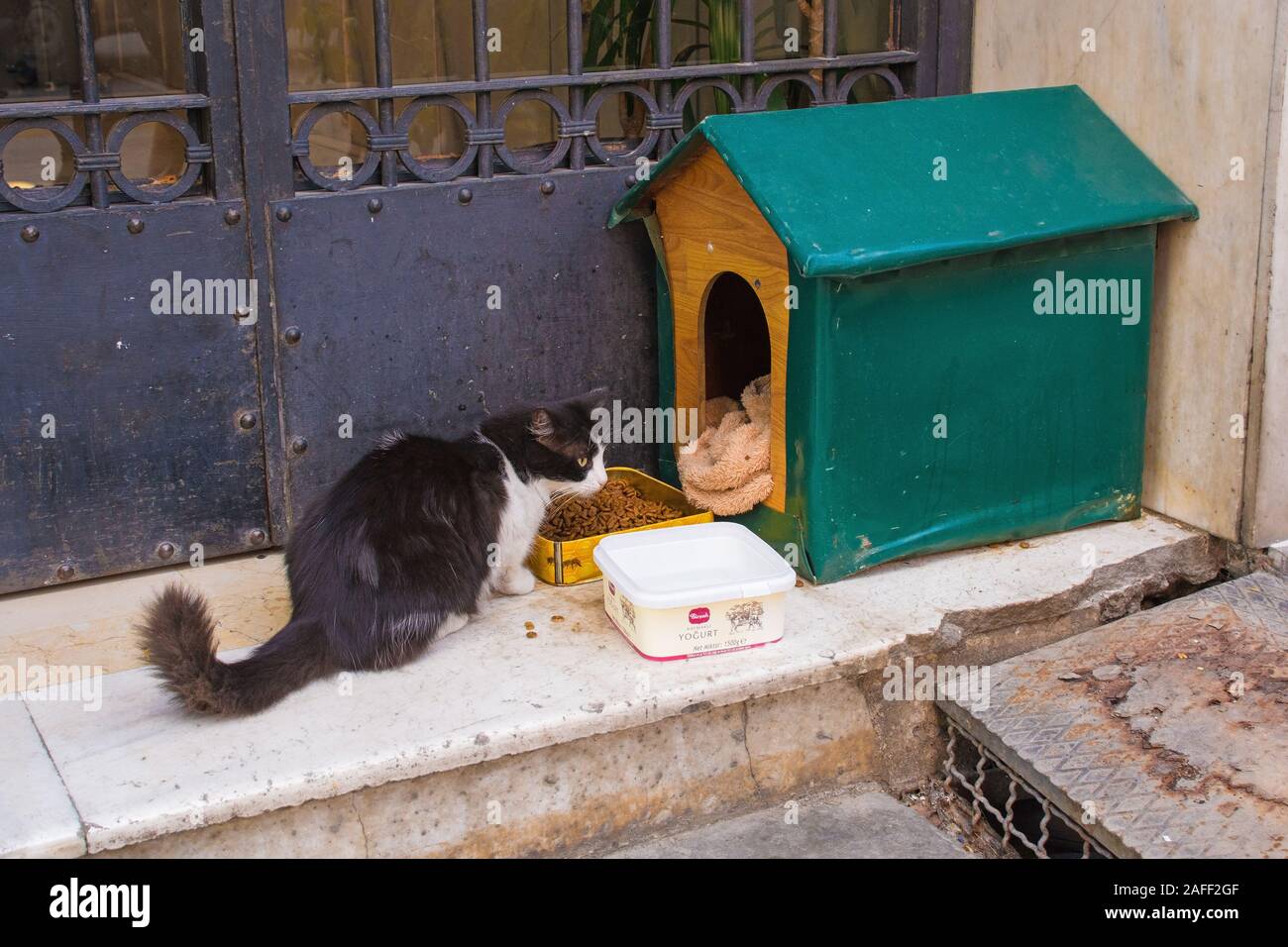 Pets house street hi-res stock photography and images - Alamy
