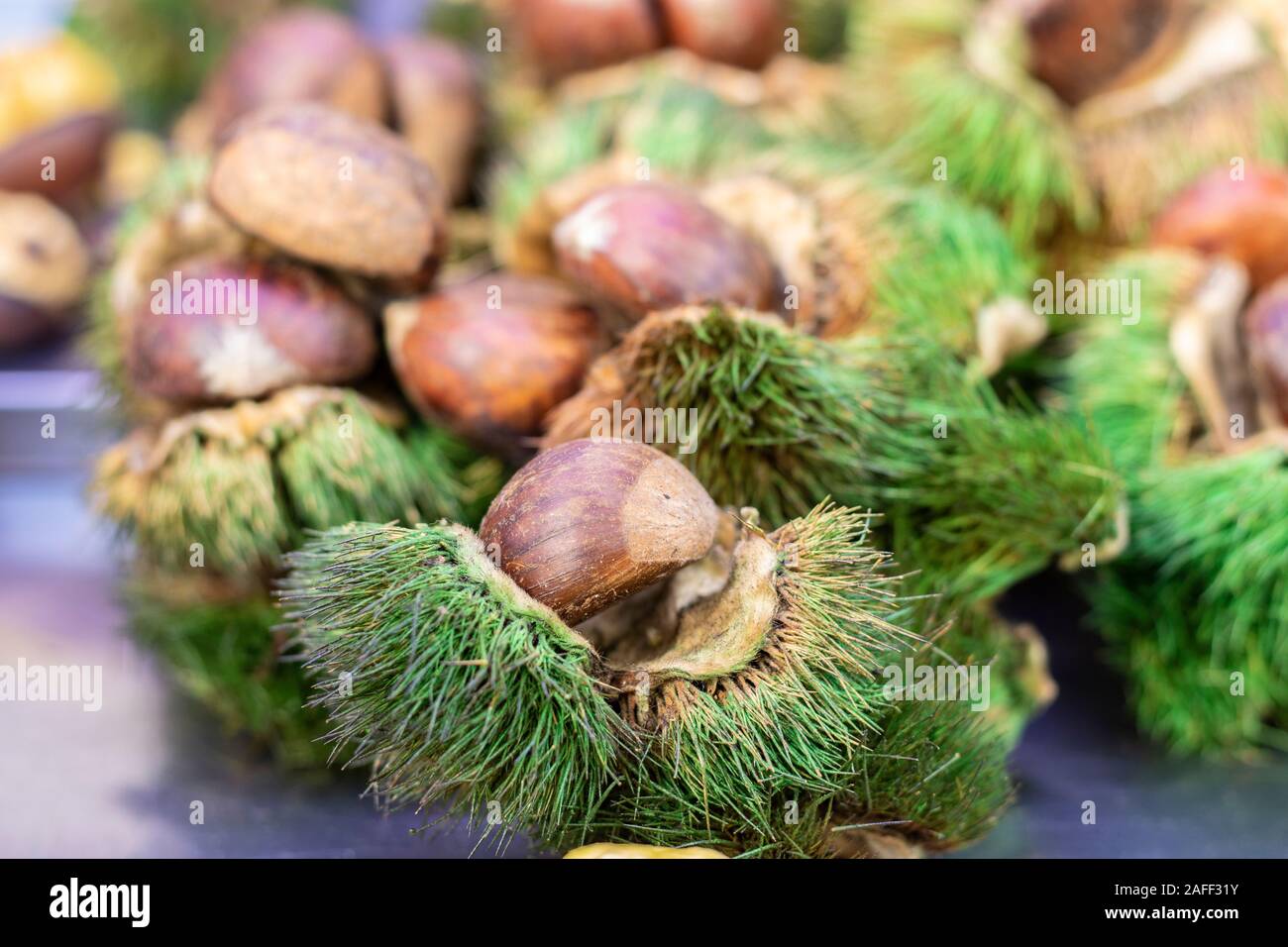 Shelled chestnuts close-up. Shells are green in color and prickly Stock ...