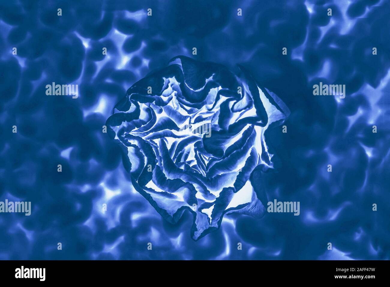 Abstract classical blue background with a flower pattern Stock Photo ...