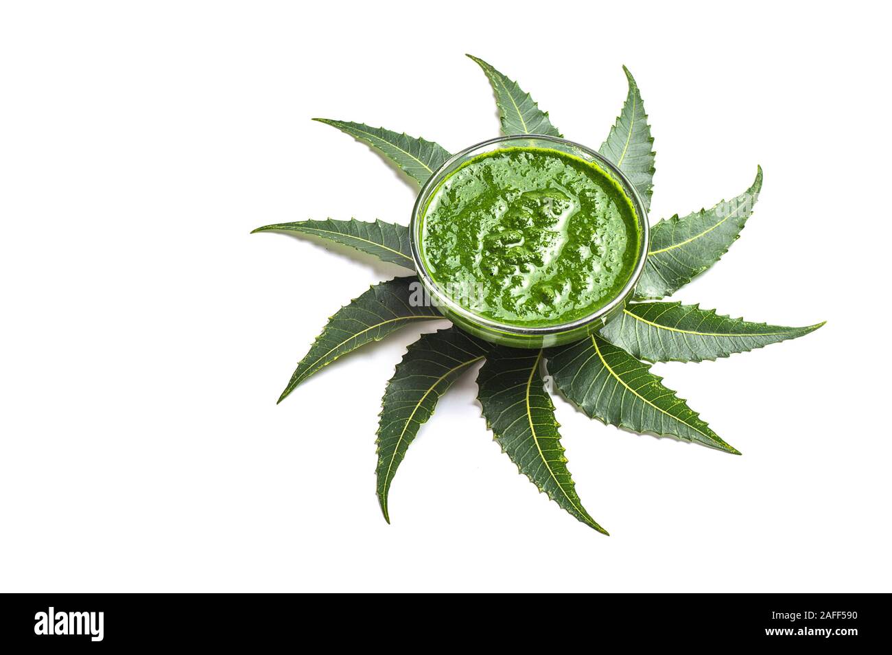 Medicinal Neem leaves with paste in bowl on white background Stock ...