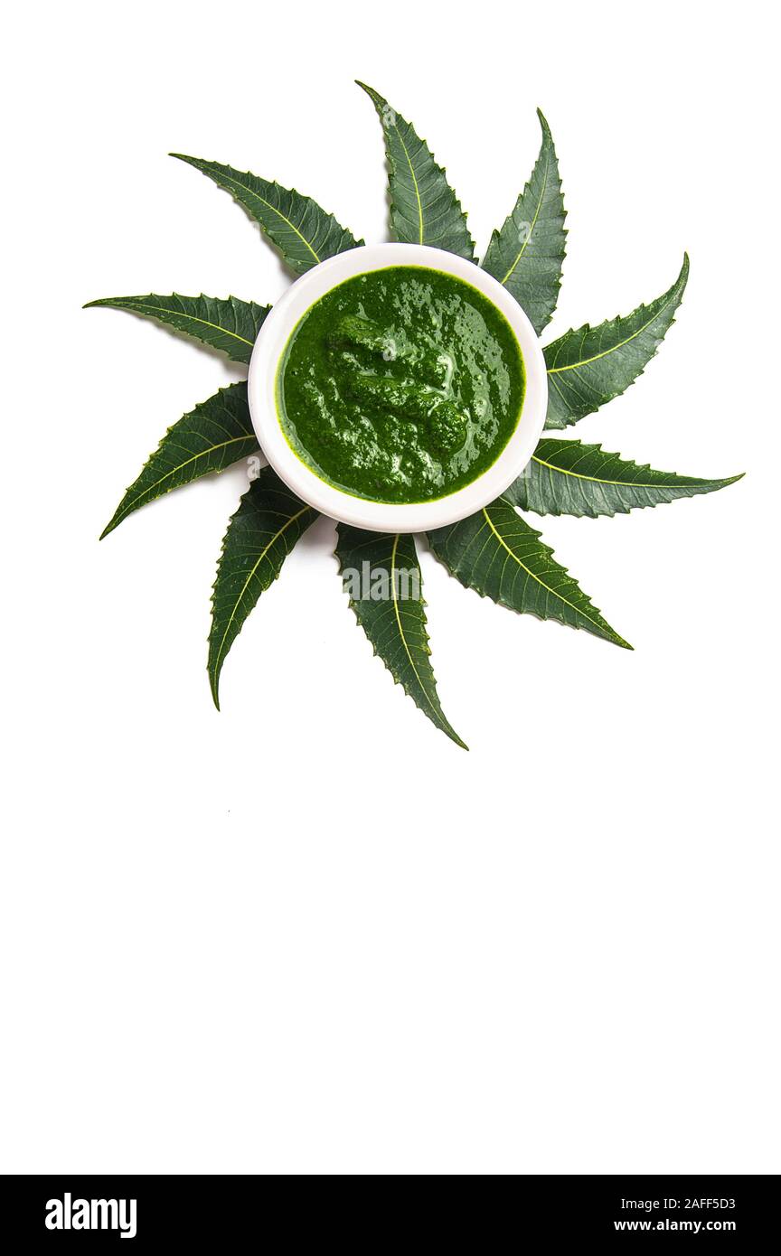Medicinal Neem leaves with paste in bowl on white background Stock ...