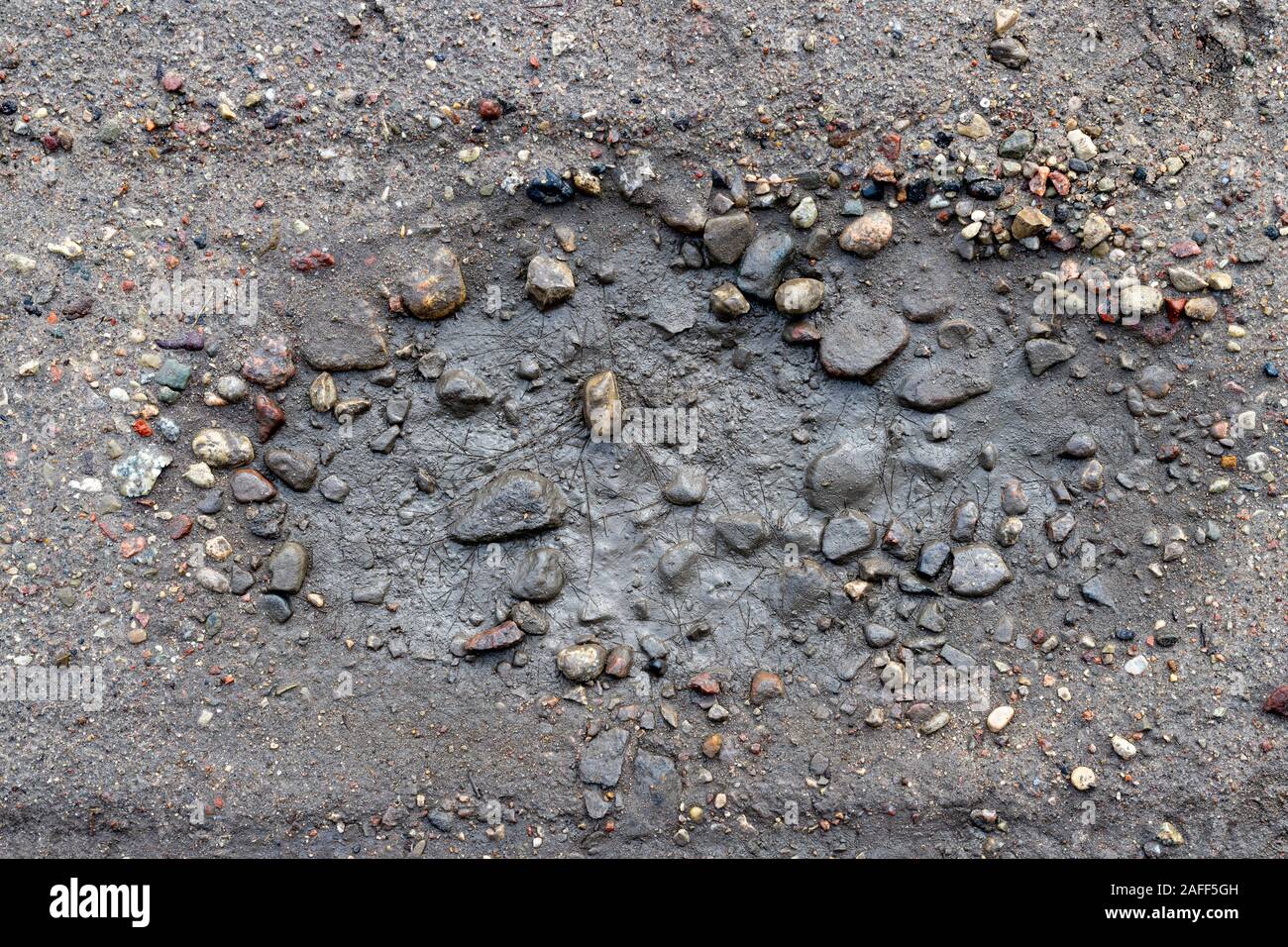 A dried-up puddle on a forest road. Traces of the morning rain on the ...