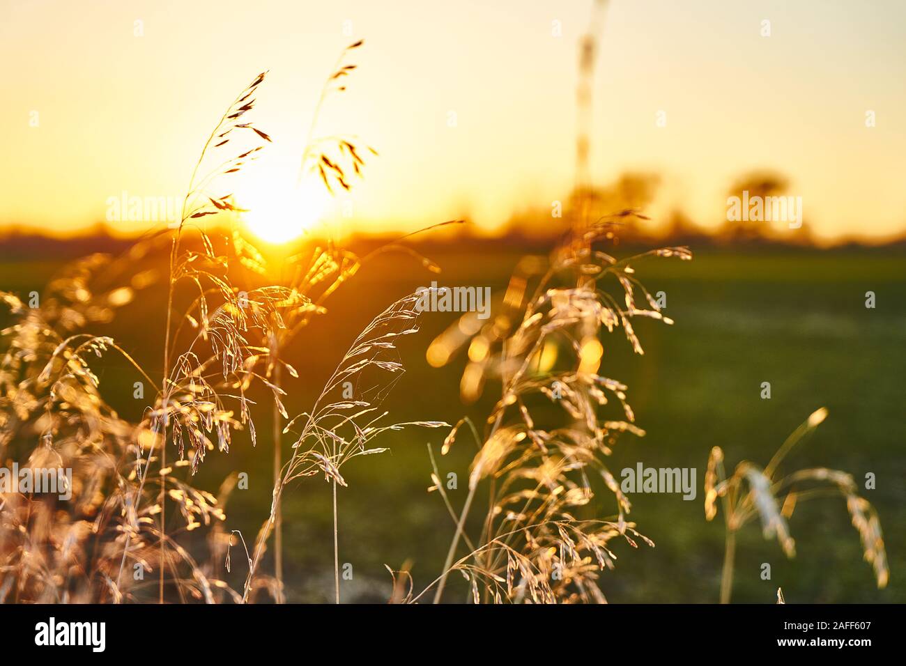 Beautiful nature sunset landscape Stock Photo - Alamy