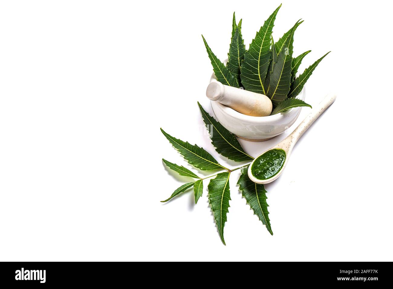 Medicinal Neem leaves in mortar and pestle with neem paste on white ...