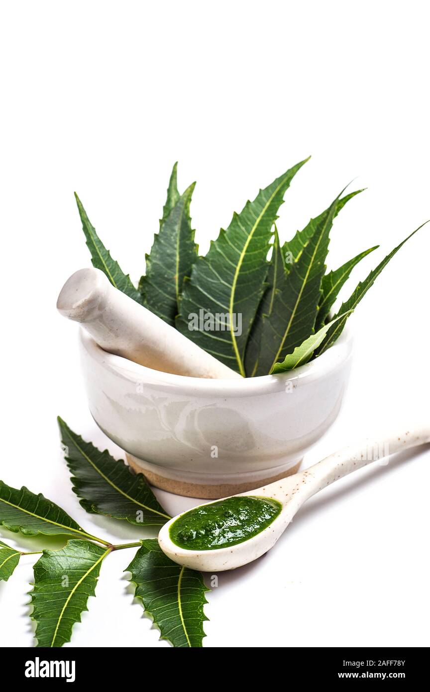Medicinal Neem leaves in mortar and pestle with neem paste on white ...