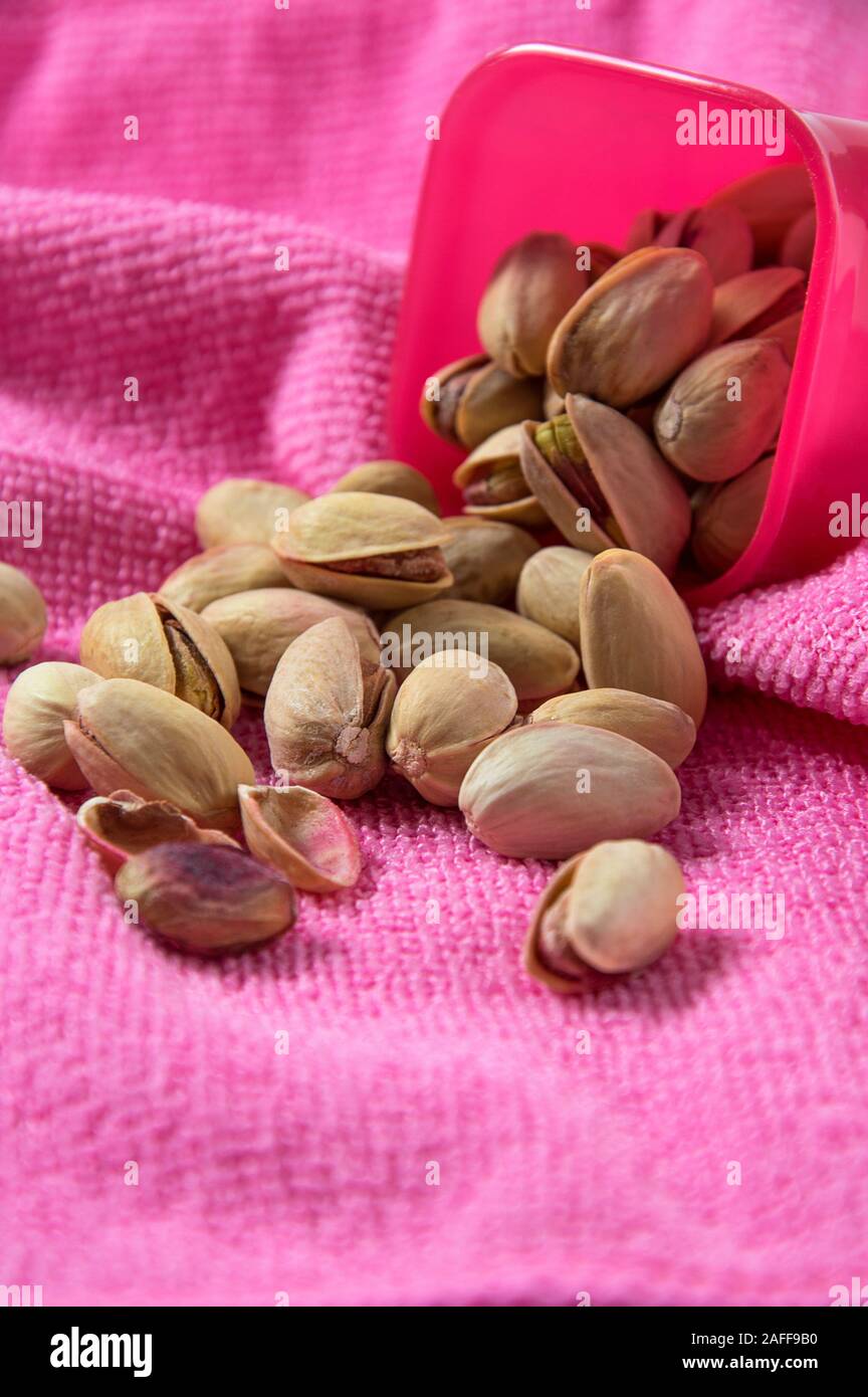 Pistachios in container on pink background Stock Photo - Alamy