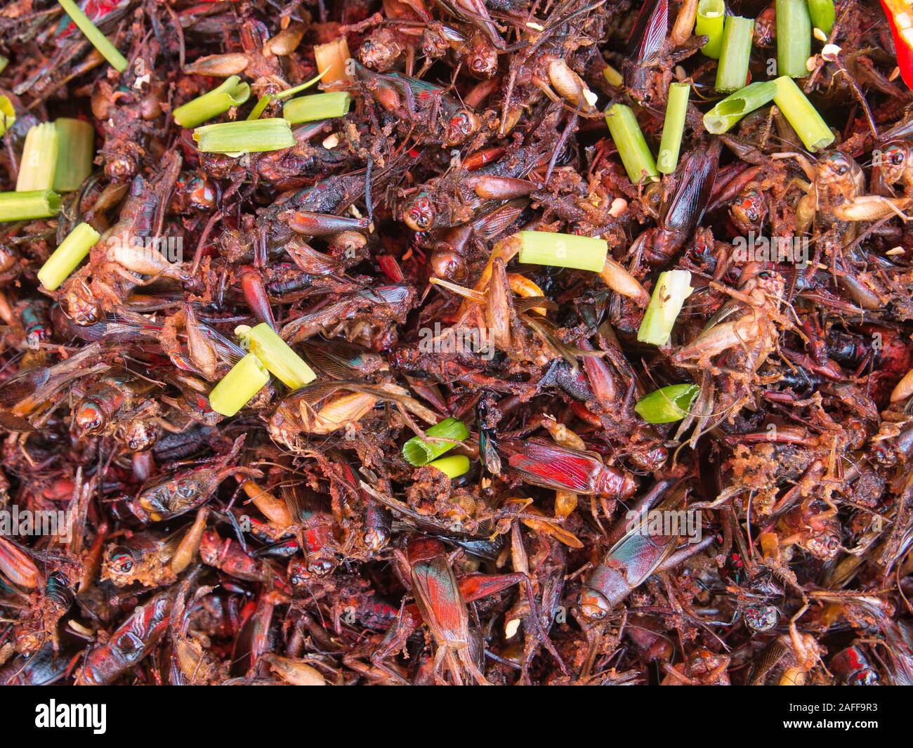Deep fried crickets for sale at the market at Skun in Kampong Cham ...
