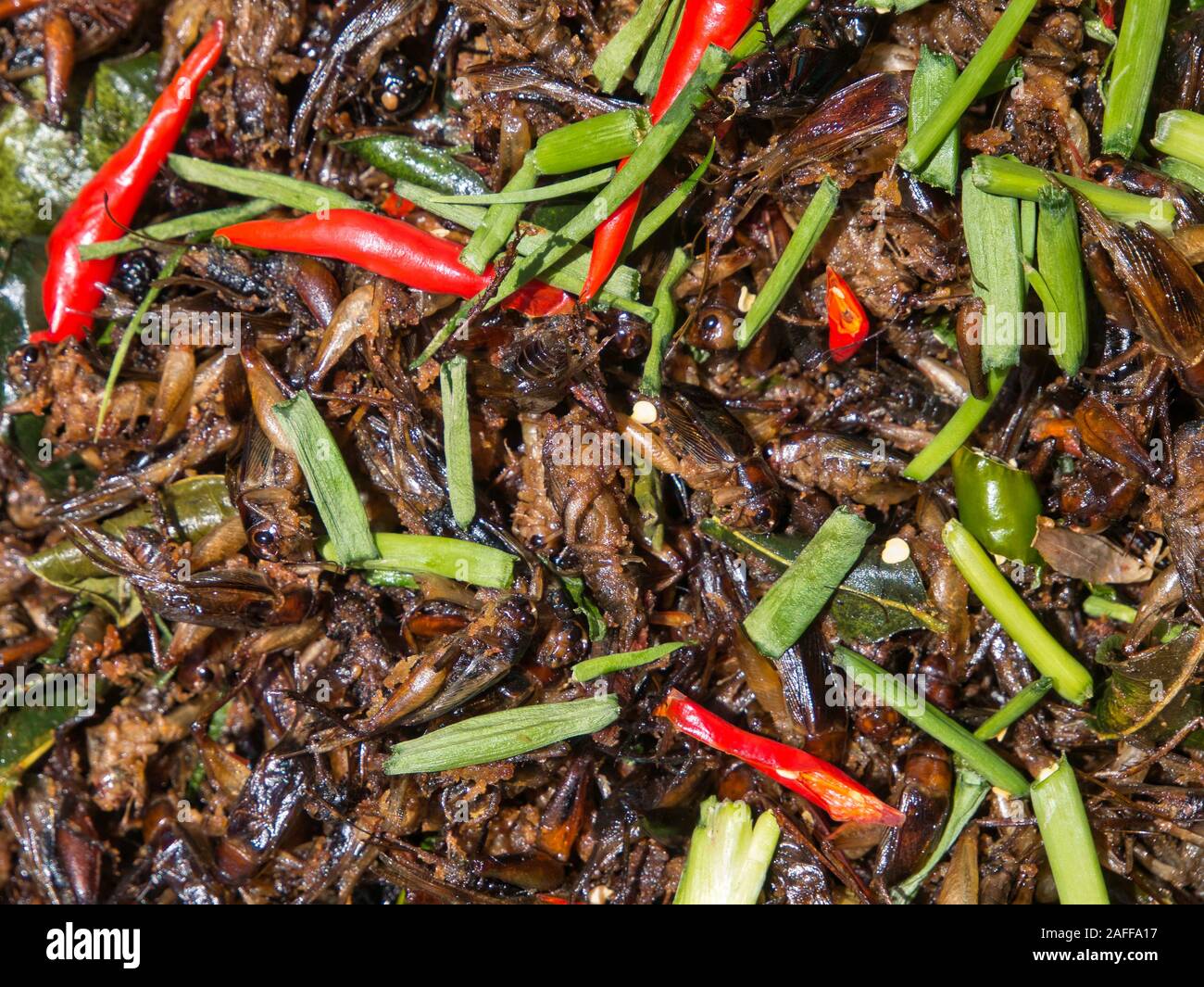Deep fried insects for sale at the market at Skun in Kampong Cham ...