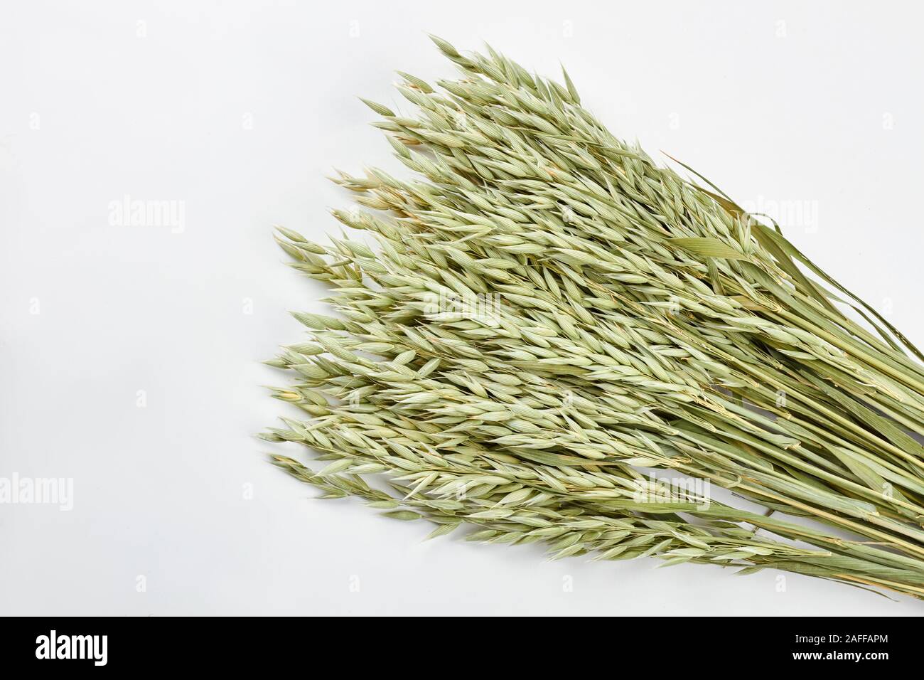 Sheaf of oat ears on white background Stock Photo - Alamy