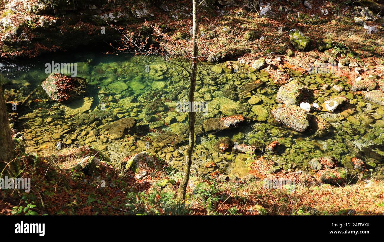 Dobra river hi-res stock photography and images - Alamy