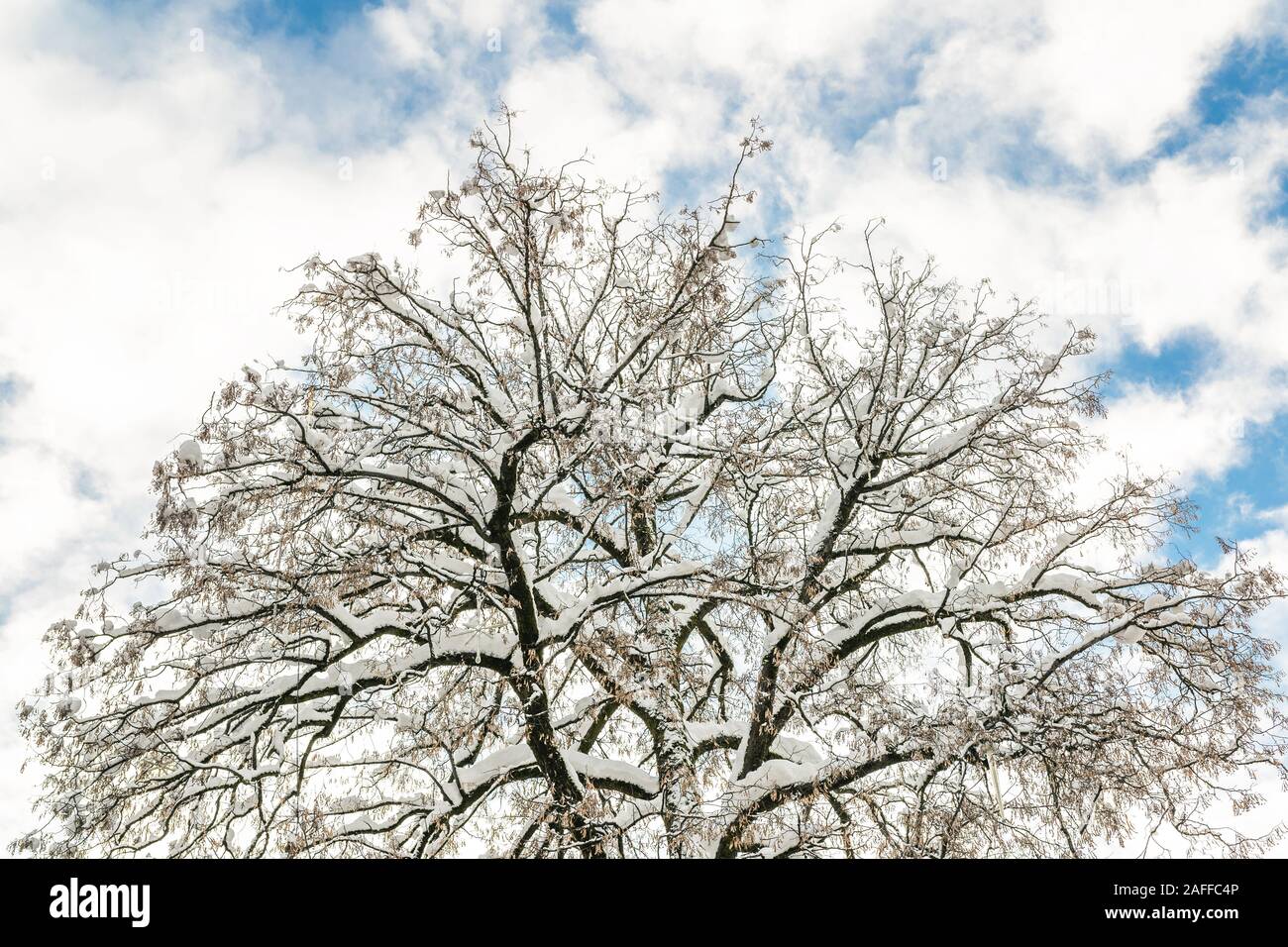Sun on ice, noon, midday, winter hi-res stock photography and images ...