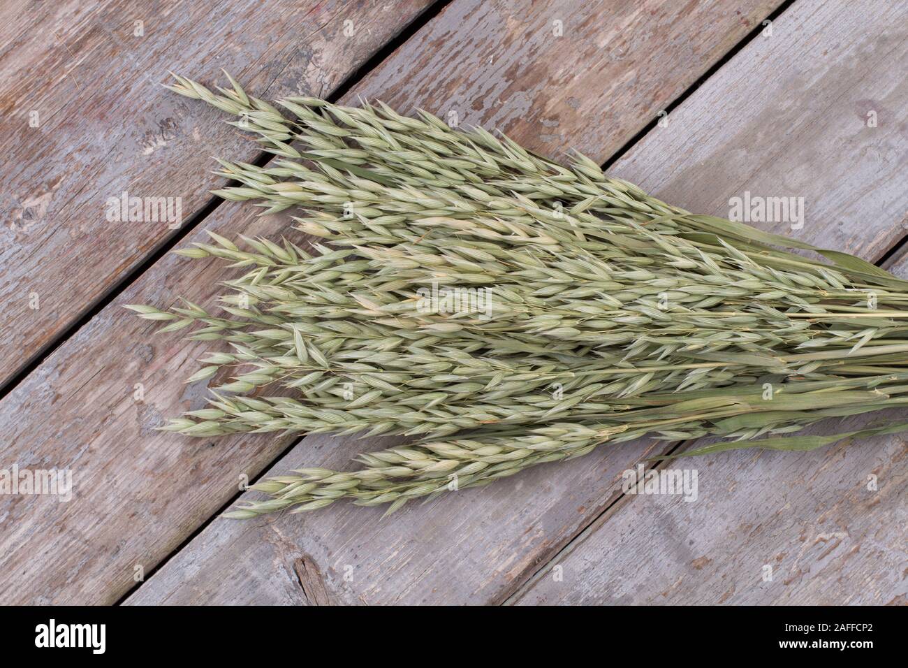 Oat sheaf hi-res stock photography and images - Alamy