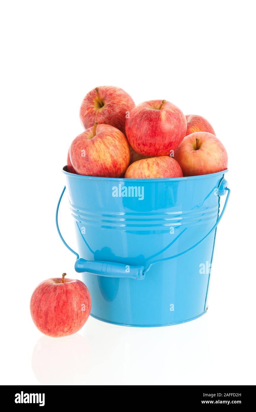 Blue bucket full red apples isolated over white background Stock Photo ...