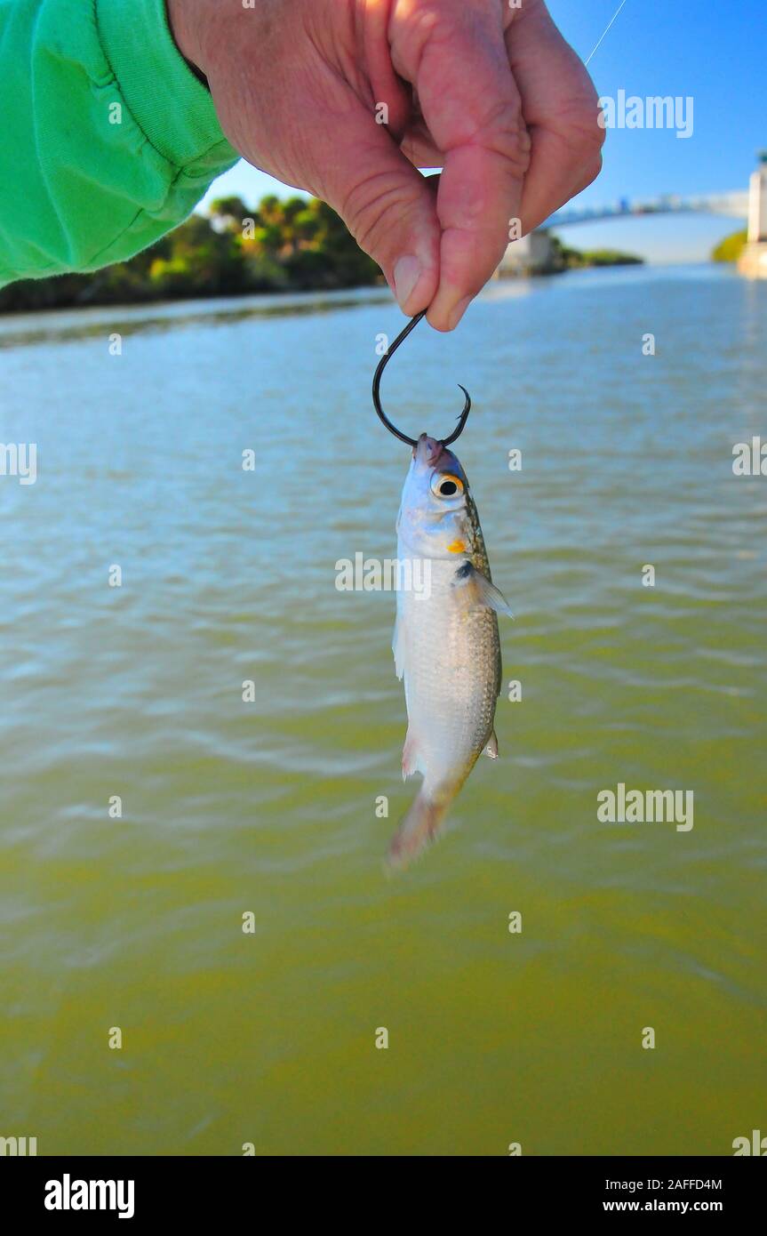 Florida's Volusia County offers some of the best redfish and trout ...