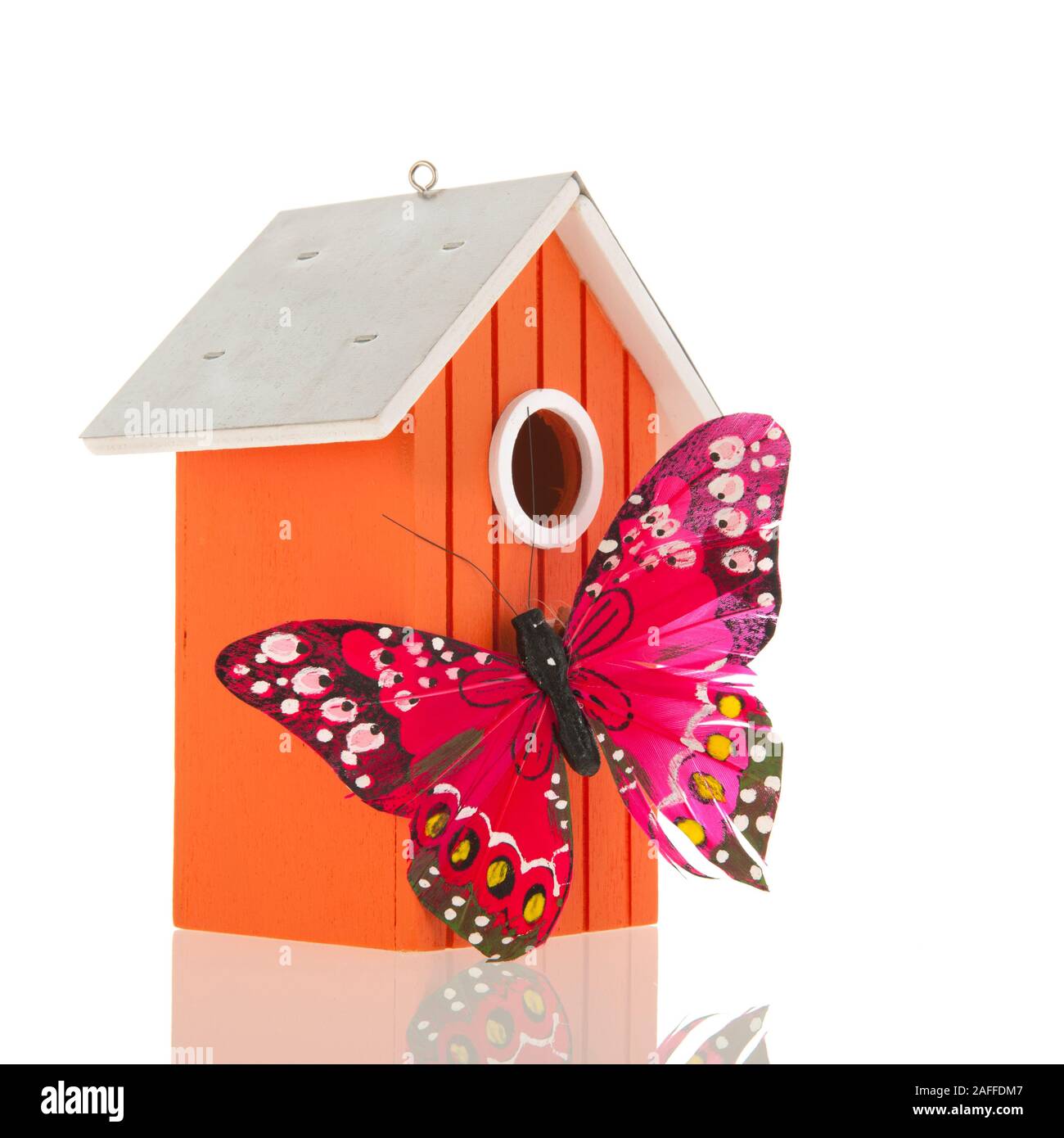 Nesting box with butterfly isolated over white background Stock Photo ...
