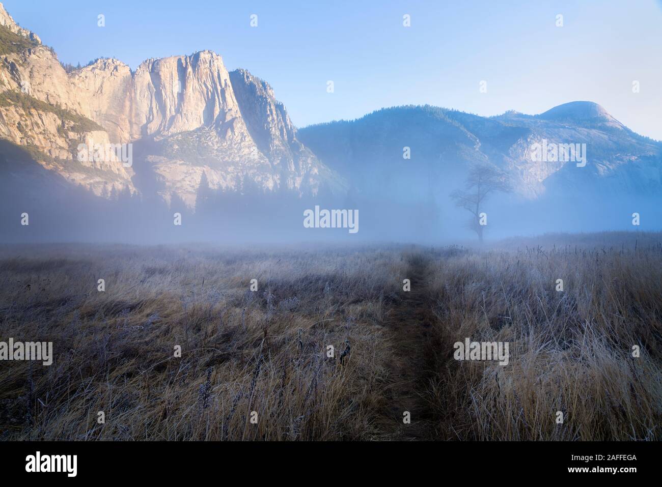 Yosemite grass hi-res stock photography and images - Alamy