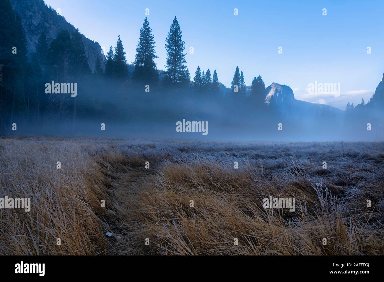Yosemite Valley Grass Stock Photo - Alamy