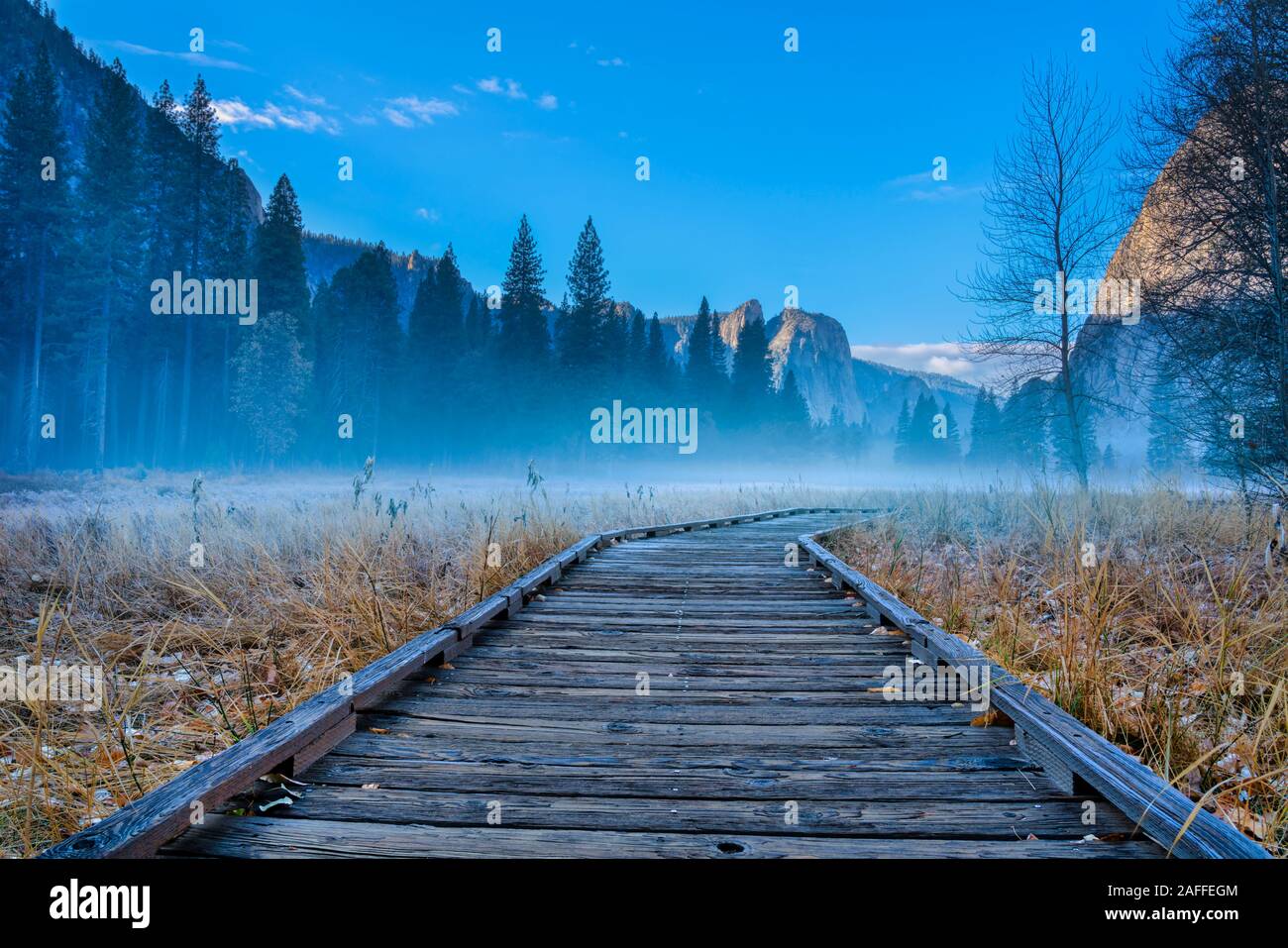 Yosemite Valley path Stock Photo - Alamy