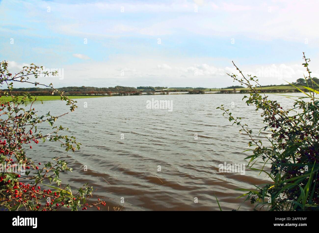 Flooded farm fields due to heavy rainfall and overflowing dykes and ...