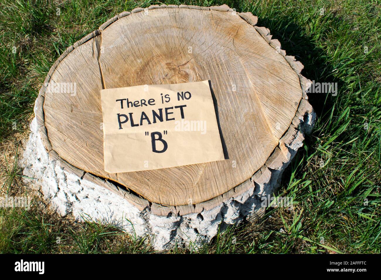 Save environment rescue the forests. Stop felling trees. Effects of ...