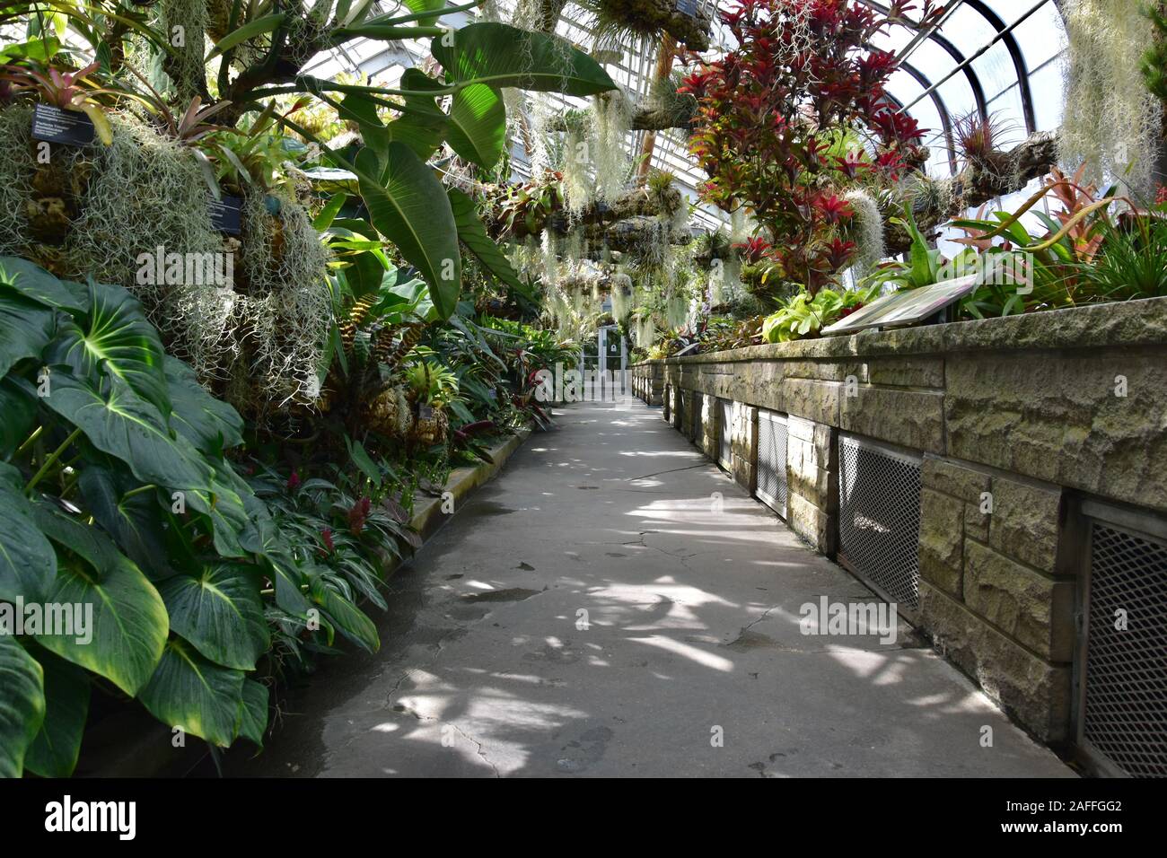 Arboretum et jardin botanique hi-res stock photography and images - Alamy