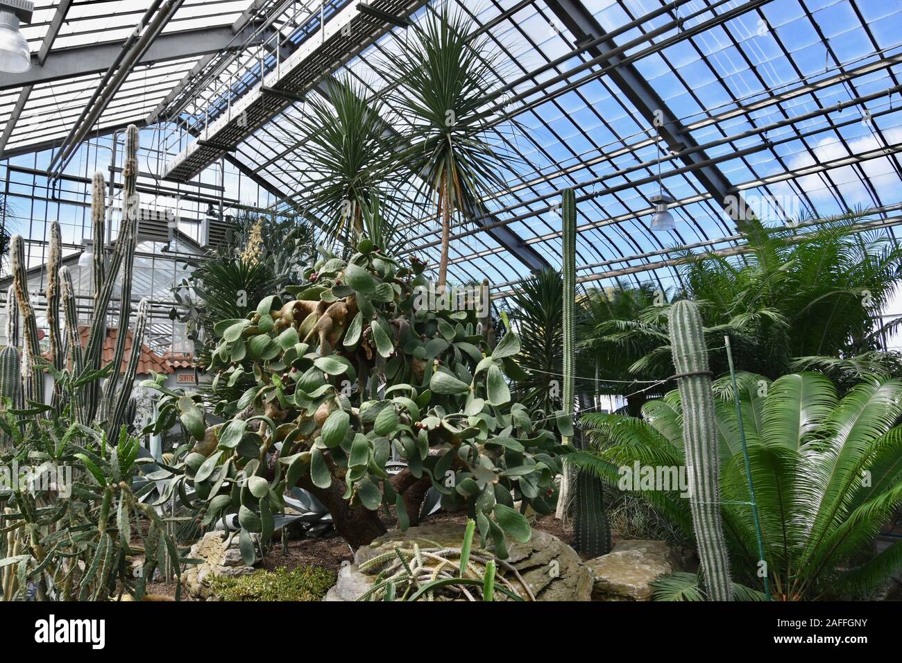 Arboretum et jardin botanique hi-res stock photography and images - Alamy