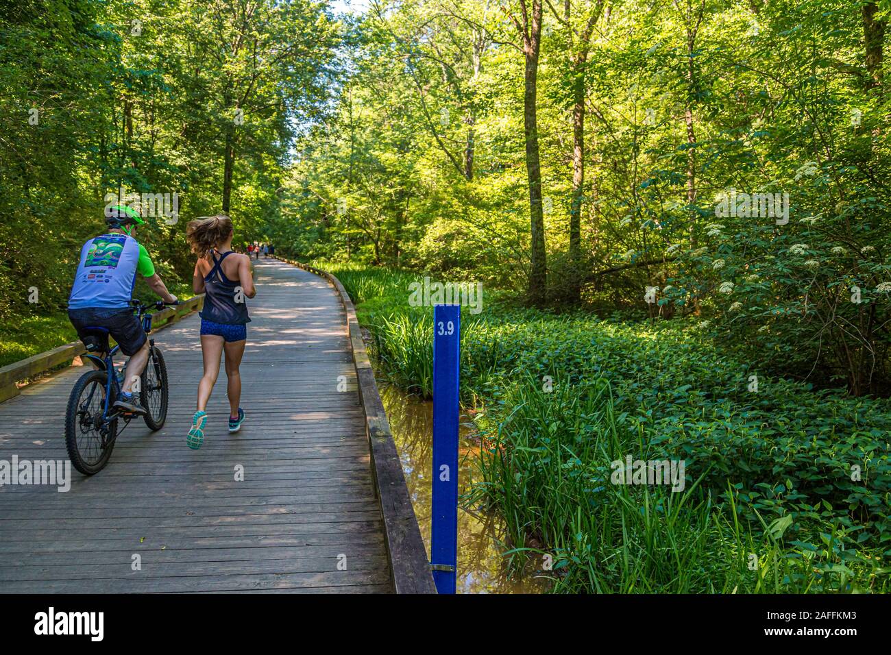 Atlanta hiking trails hi-res stock photography and images - Alamy