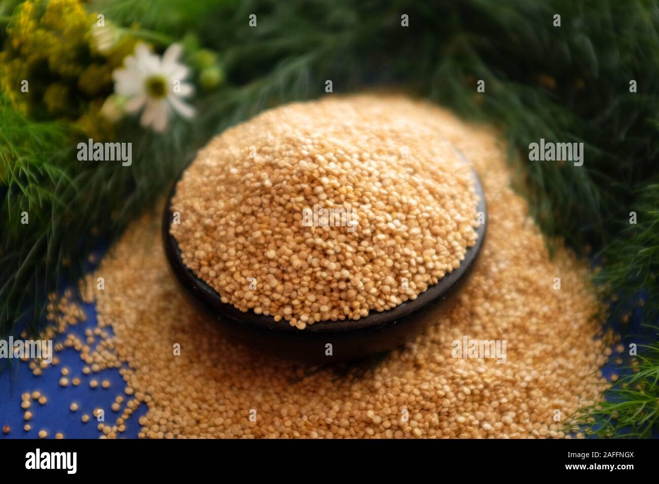 Quinoa, quinoa or quinoa, "Chenopodium quinua". It is a seed, but it is ...