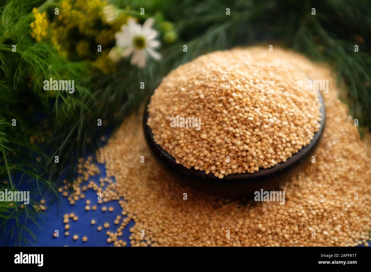 Quinoa, quinoa or quinoa, "Chenopodium quinua". It is a seed, but it is ...