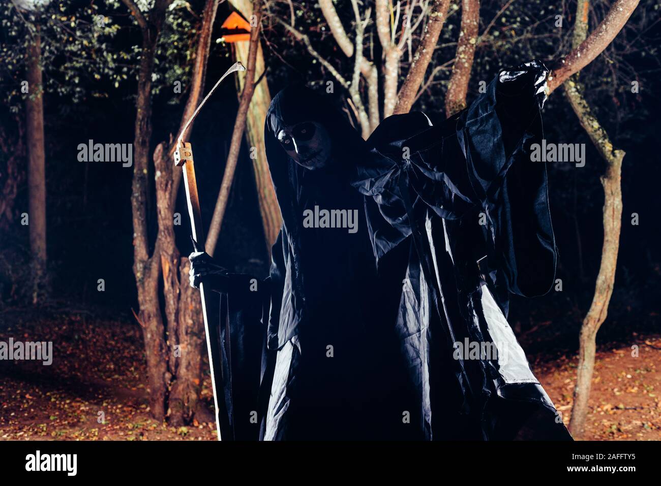 Grim Reaper standing in the fog at night with his scythe Stock Photo ...