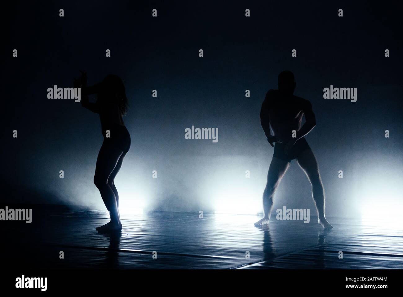 Beautiful slim young dance partners performing elegant ballet ...