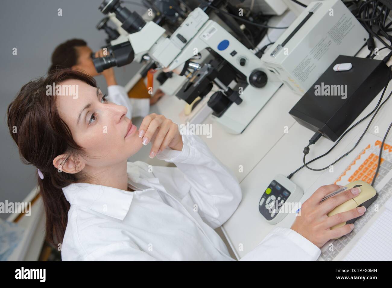 female lab worker look for chemical data in laboratory Stock Photo - Alamy