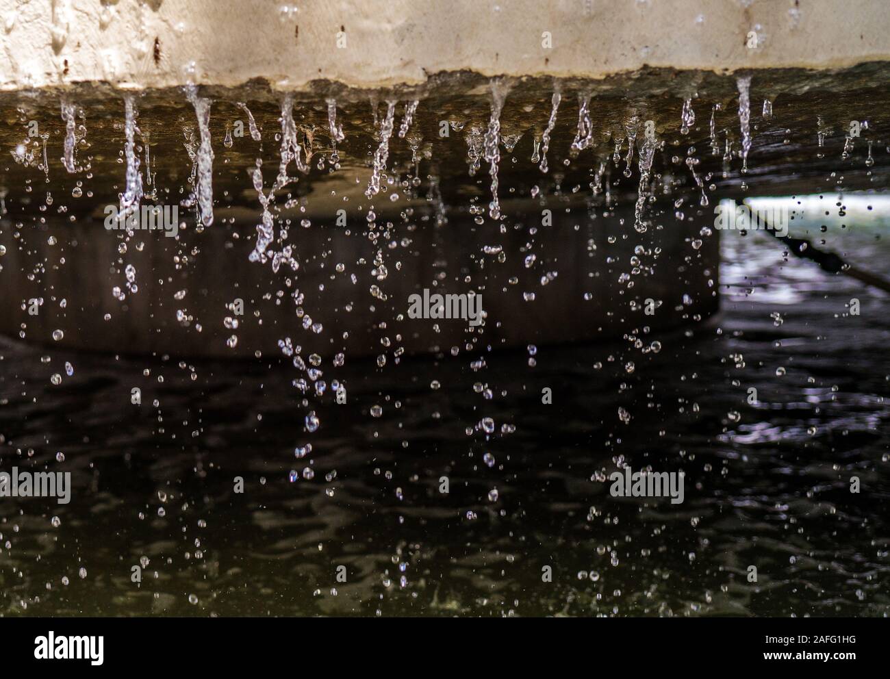 water drops ornamental pool close up photo Stock Photo - Alamy