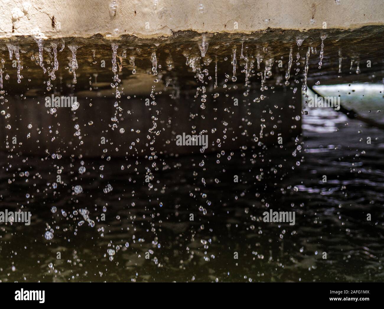 water drops ornamental pool close up photo Stock Photo - Alamy