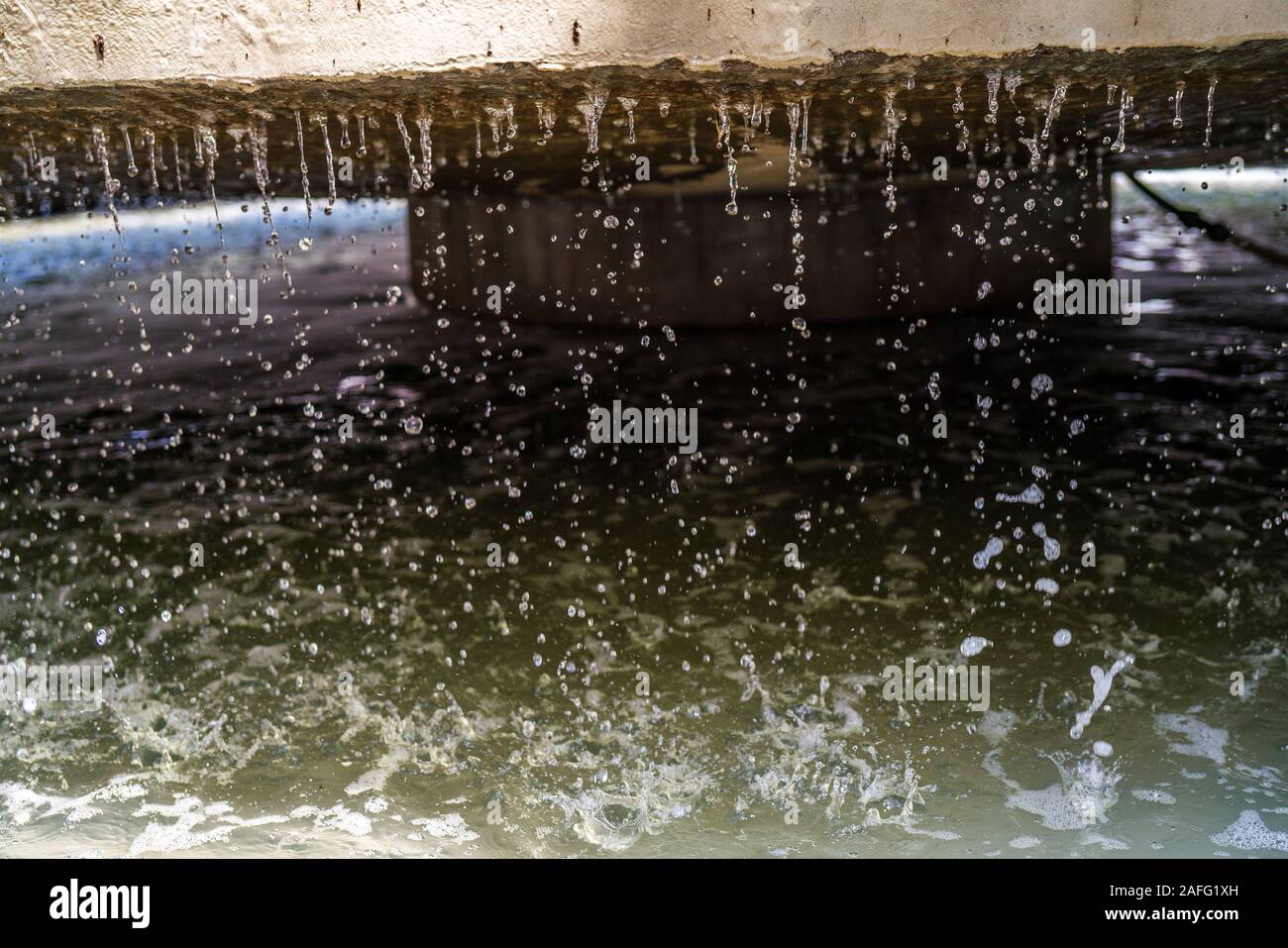 water drops ornamental pool close up photo Stock Photo - Alamy